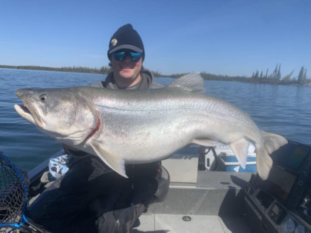 Mac Mulligan's Top Trout Picks – Drop Tine Tackle